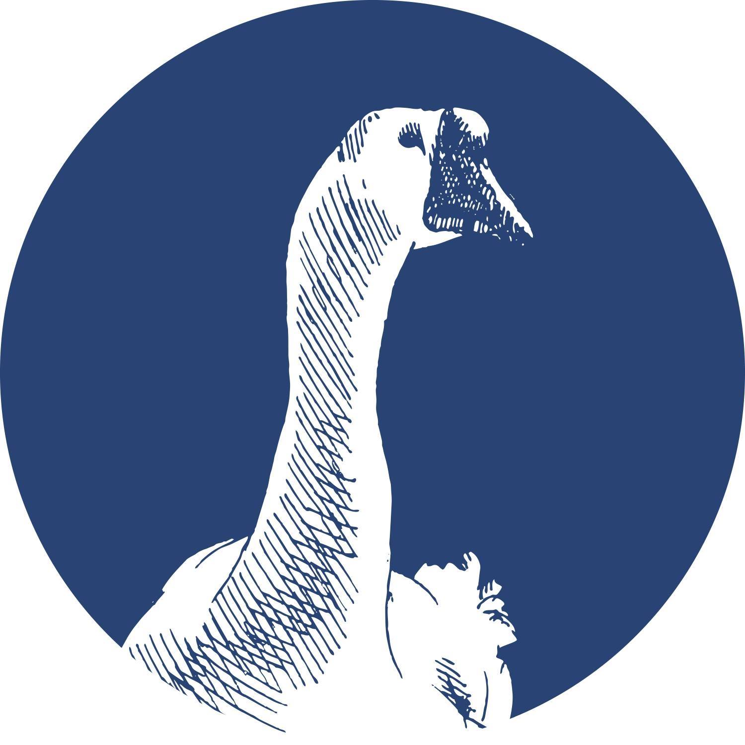 Newmarket BIA - Replenish General Store - Newmarket BIA